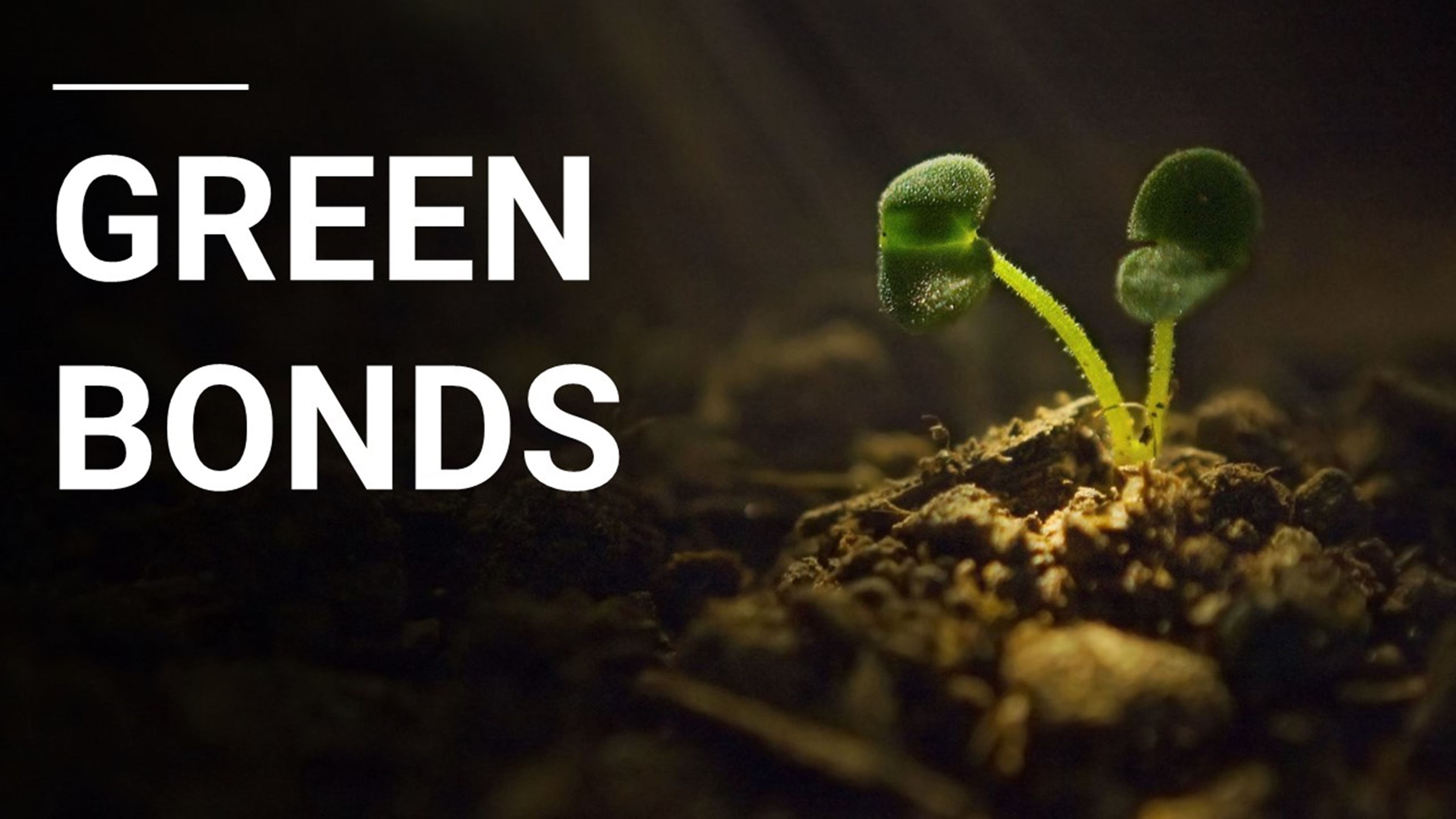 What Are Green Bonds in India? Features, Types & Investment Tips