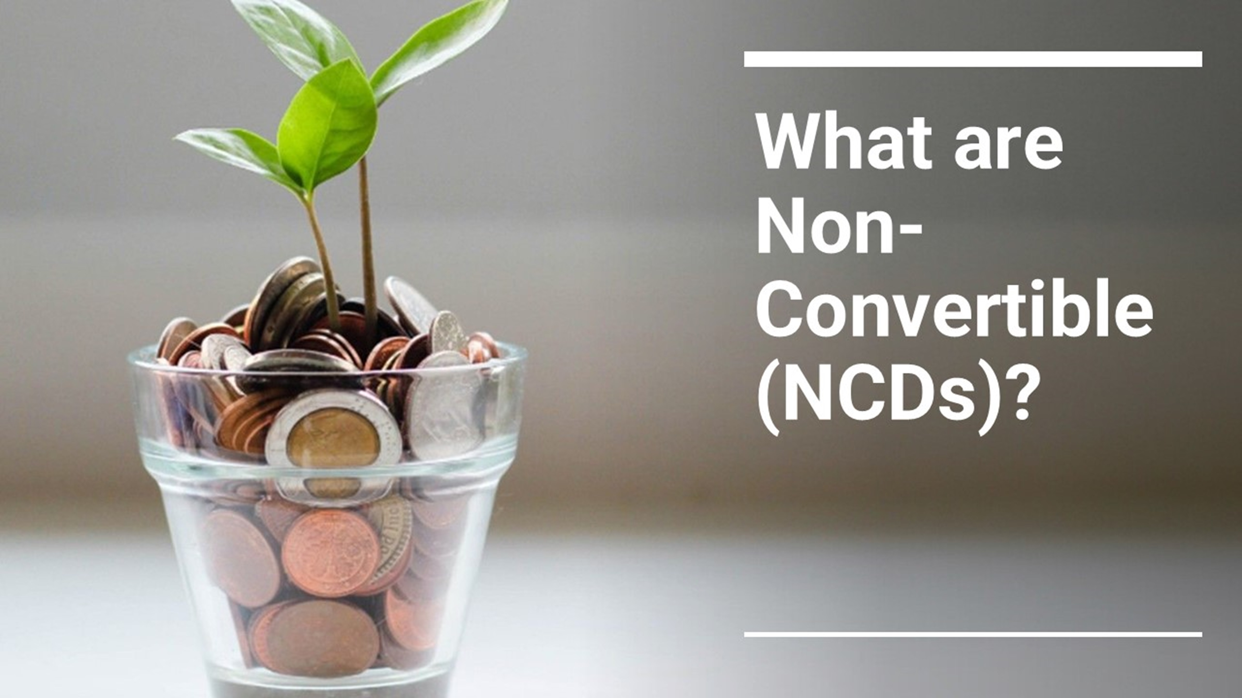 What Are Non-Convertible Debentures (NCDs)?